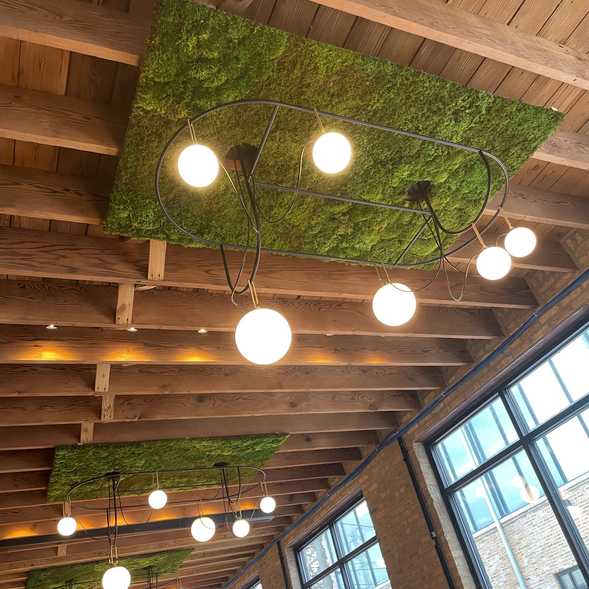 Custom Moss Designs – Mossy Moss by Olia